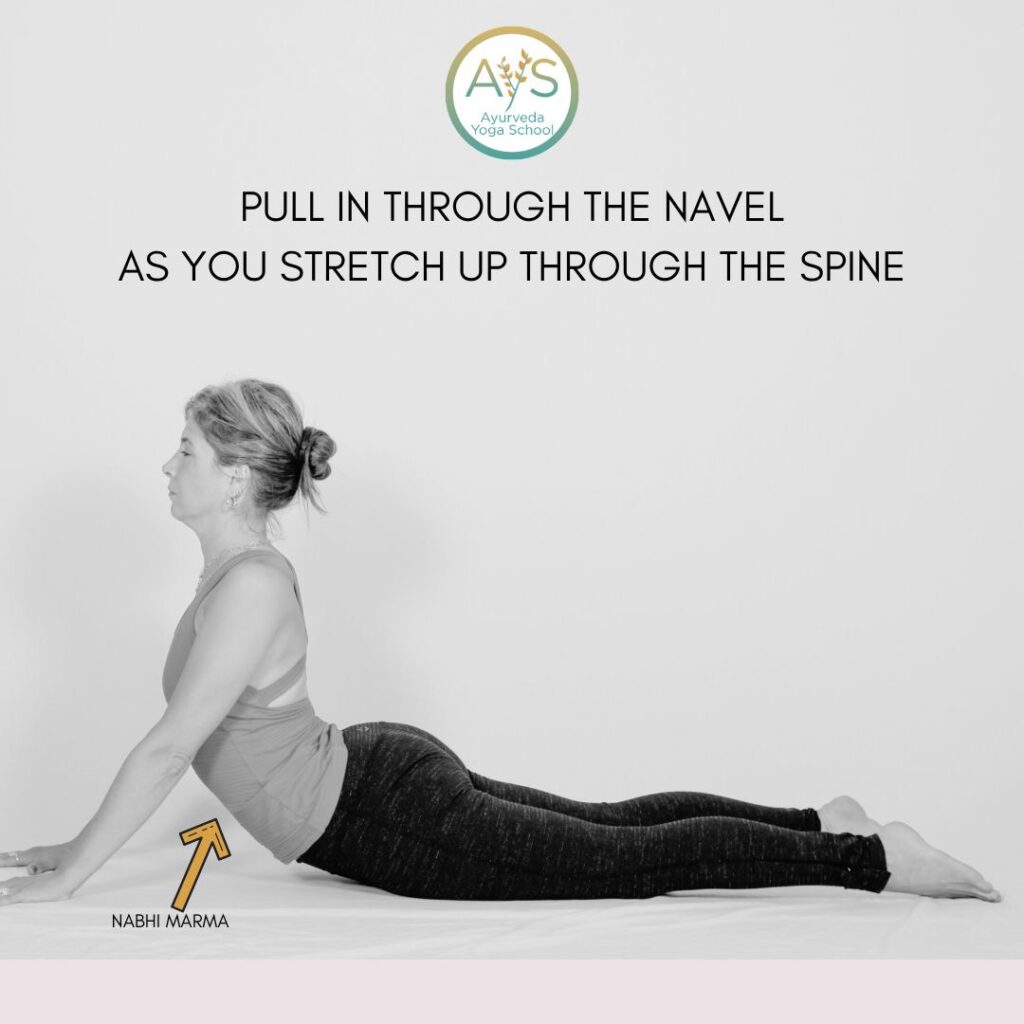 Ayurveda Yoga School | Exploring the Power of Nabhi Marma + Yoga